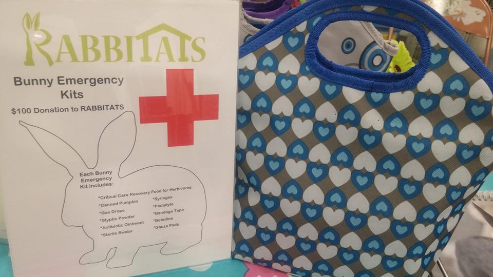 Bunny Emergency Kits - Rabbitats